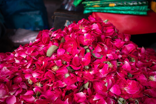 Images Of Pink Roses And Erflies In Indian Culture In India ...