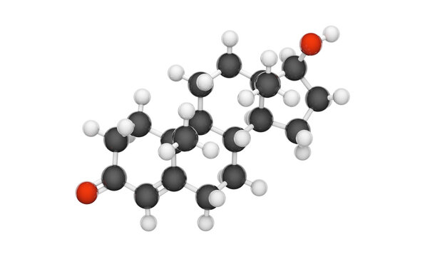 C19H28O2 Imagens – Procure 39 fotos, vetores e vídeos | Adobe Stock