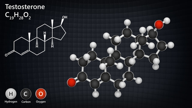 Testosterone Structure 3d