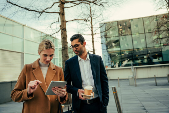 รูปภาพWile – เลือกดูภาพถ่ายสต็อก เวกเตอร์ และวิดีโอ1,528 | Adobe Stock