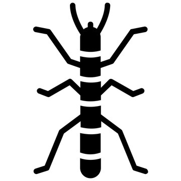 Phasmids Images – Browse 942 Stock Photos, Vectors, and Video | Adobe Stock