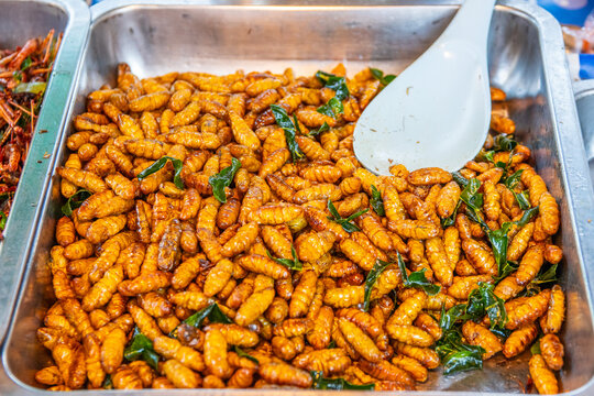 รูปภาพDeep-Fried – เลือกดูภาพถ่ายสต็อก เวกเตอร์ และวิดีโอ2,878,820 ...