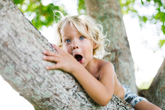 รูปภาพGurning – เลือกดูภาพถ่ายสต็อก เวกเตอร์ และวิดีโอ26,746 | Adobe Stock