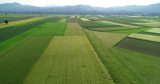 Flatland Images – Parcourir 5,685 le catalogue de photos, vecteurs et ...