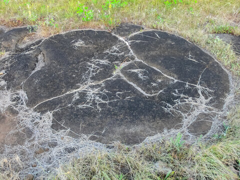 Paleocontact Bilder – Durchsuchen 515 Archivfotos, Vektorgrafiken und ...