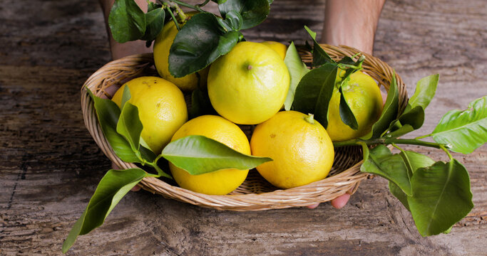 รูปภาพ"Frutti – เลือกดูภาพถ่ายสต็อก เวกเตอร์ และวิดีโอ17,894 | Adobe Stock