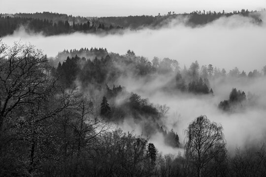 「Nebelig」の画像 - 13,593 件の Stock 写真、ベクターおよびビデオ | Adobe Stock