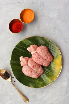 Goat Brain