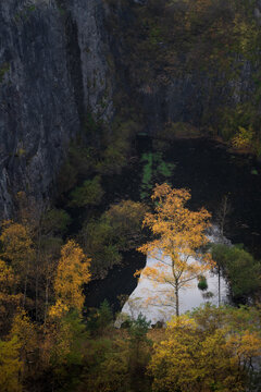 รูปภาพMorina – เลือกดูภาพถ่ายสต็อก เวกเตอร์ และวิดีโอ232 | Adobe Stock