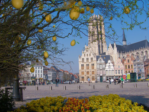 รูปภาพMalines – เลือกดูภาพถ่ายสต็อก เวกเตอร์ และวิดีโอ1,235 | Adobe Stock