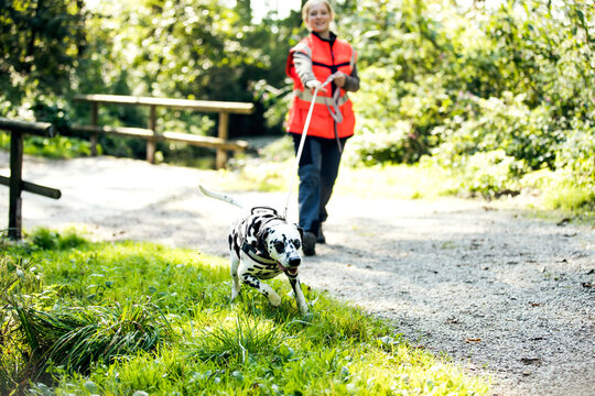 Man-Trailing Images – Browse 7 Stock Photos, Vectors, and Video | Adobe ...