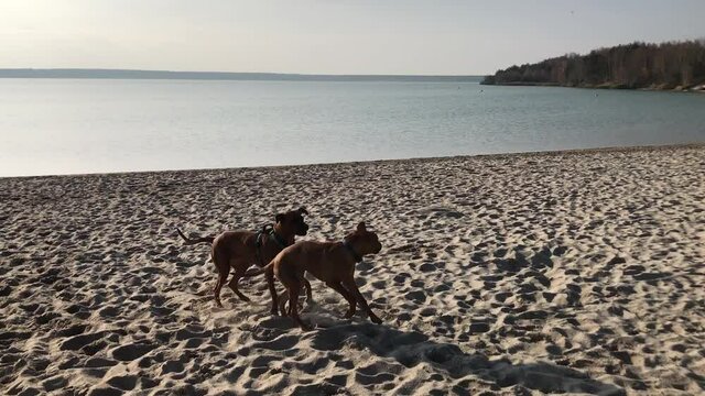 รูปภาพTobben – เลือกดูภาพถ่ายสต็อก เวกเตอร์ และวิดีโอ115 | Adobe Stock