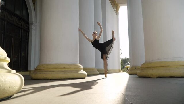 "On One Leg" Images – Browse 1,616 Stock Photos, Vectors, and Video ...