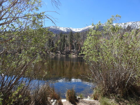 「Jenks」の写真素材 | 41件の無料イラスト画像 | Adobe Stock