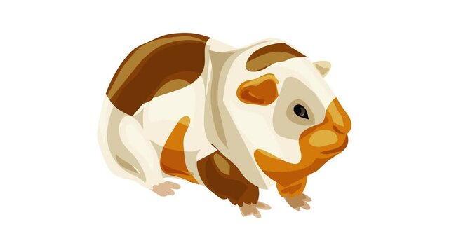 "Sea Pig" Bilder – Durchsuchen 438 Archivfotos, Vektorgrafiken und ...