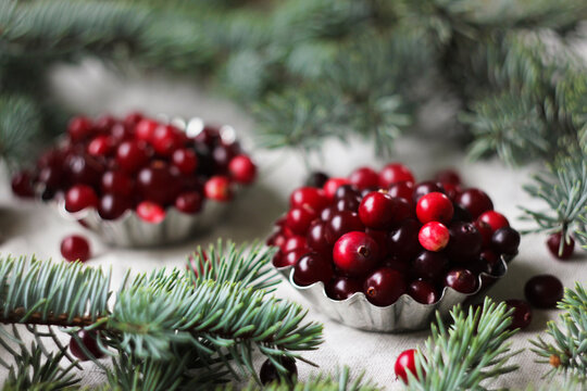 รูปภาพMooseberry – เลือกดูภาพถ่ายสต็อก เวกเตอร์ และวิดีโอ2,682 | Adobe ...