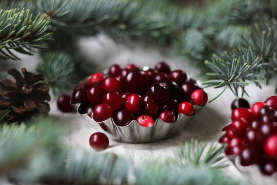 รูปภาพMooseberry – เลือกดูภาพถ่ายสต็อก เวกเตอร์ และวิดีโอ2,682 | Adobe ...