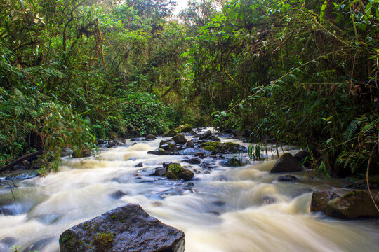 Lloa Images – Browse 33 Stock Photos, Vectors, and Video | Adobe Stock