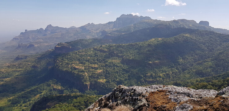 Kadam Imagens – Procure 162 fotos, vetores e vídeos | Adobe Stock