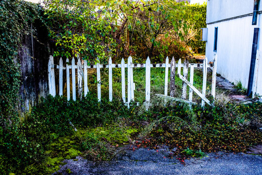 Inexorably Images – Browse 696 Stock Photos, Vectors, and Video | Adobe ...