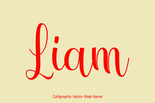 รูปภาพLiam – เลือกดูภาพถ่ายสต็อก เวกเตอร์ และวิดีโอ428 | Adobe Stock