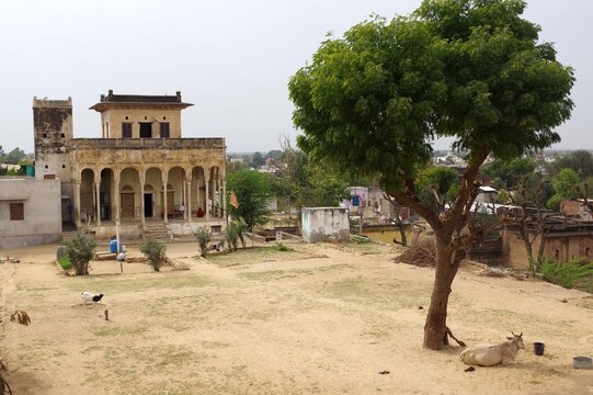 รูปภาพHaweli – เลือกดูภาพถ่ายสต็อก เวกเตอร์ และวิดีโอ3,109 | Adobe Stock