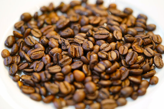 「Jamoke」の写真素材 | 4,601件の無料イラスト画像 | Adobe Stock