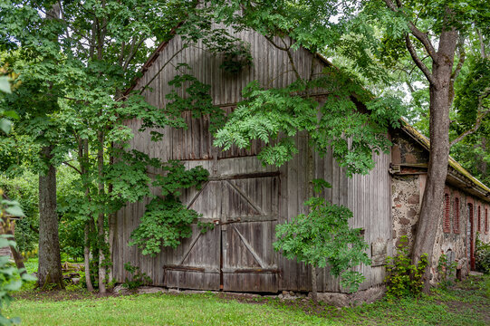Inside Barn Bilder – Durchsuchen 23,600 Archivfotos, Vektorgrafiken und ...