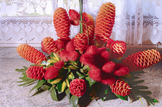 รูปภาพBixa – เลือกดูภาพถ่ายสต็อก เวกเตอร์ และวิดีโอ1,373 | Adobe Stock