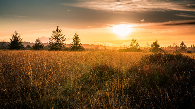 Hochmoor Images – Browse 58 Stock Photos, Vectors, and Video | Adobe Stock