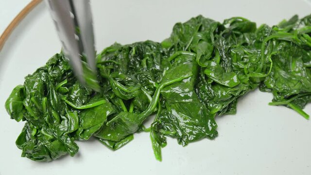Fresh Spinach Images – Browse 323,271 Stock Photos, Vectors, and Video ...