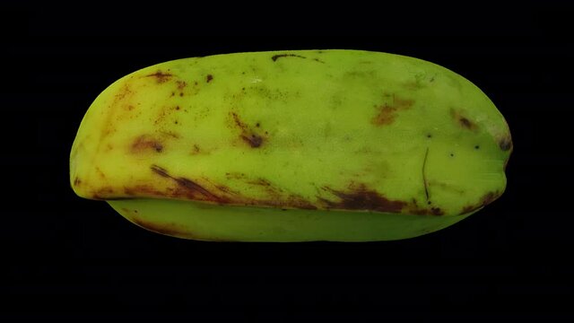 Cardava Images – Browse 41 Stock Photos, Vectors, and Video | Adobe Stock