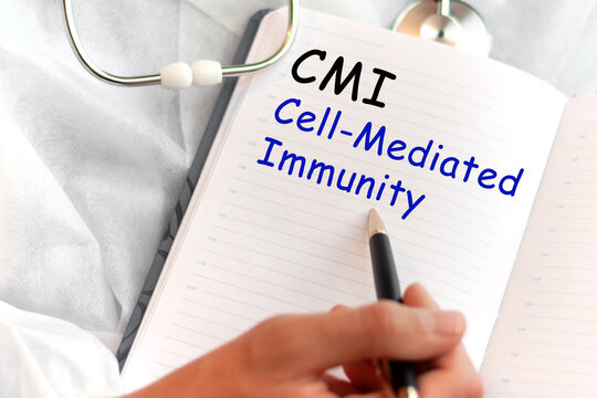 Cmi Images – Parcourir 203 le catalogue de photos, vecteurs et vidéos ...