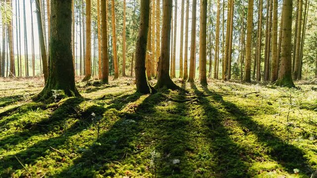 Secene 影像 – 瀏覽 214 個素材庫相片、向量圖和影片 | Adobe Stock