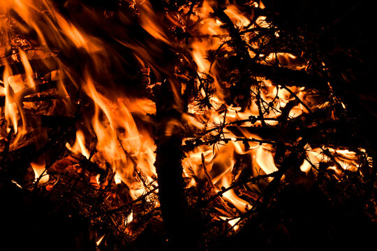 Backfire Bilder – Durchsuchen 638 Archivfotos, Vektorgrafiken und ...