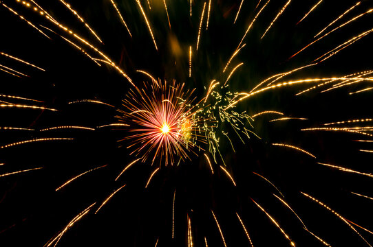 Celebracja bilder – Bläddra bland 19,120 stockfoton, vektorer och ...