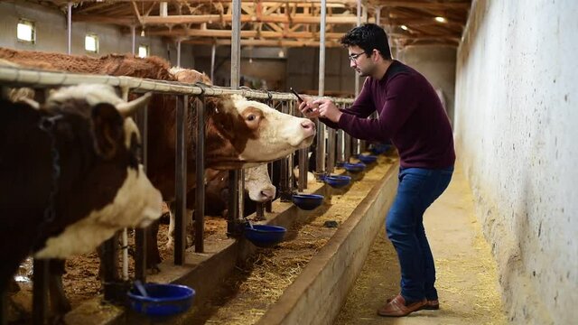 Smart Farming Barn Images – Browse 9,500 Stock Photos, Vectors, and ...