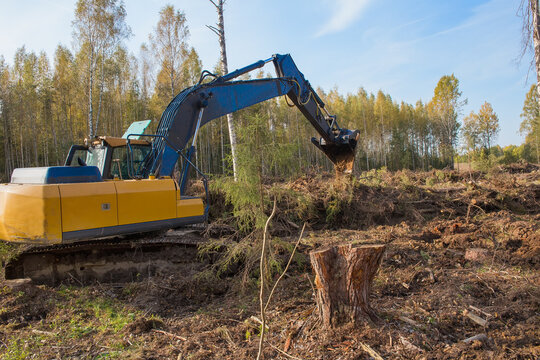 Melioration bilder – Bläddra bland 605 stockfoton, vektorer och videor ...
