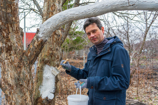 Whitewashing Images – Browse 71,679 Stock Photos, Vectors, and Video ...