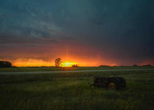 「Fild」の写真素材 | 1,823件の無料イラスト画像 | Adobe Stock