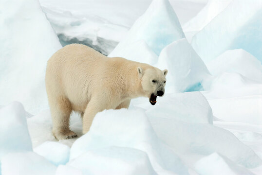 Lopend - Images et vidéos libres de droits | Adobe Stock