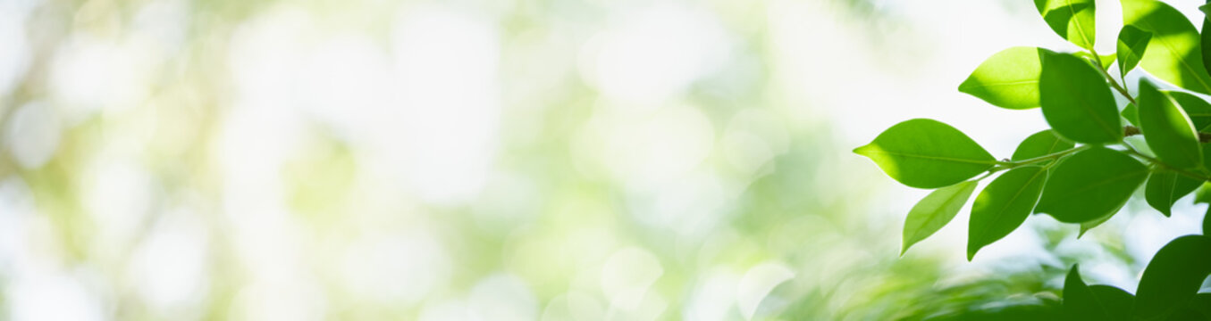 Free Background Images – Browse 185,928 Free Stock Photos, Vectors, and ...