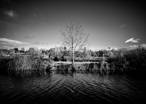 Waterside Images – Browse 147,429 Stock Photos, Vectors, and Video ...