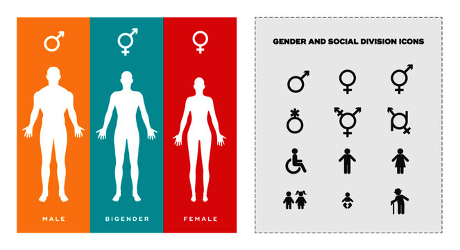 รูปภาพBigender – เลือกดูภาพถ่ายสต็อก เวกเตอร์ และวิดีโอ3,551 | Adobe Stock