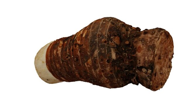 Gabi Images – Browse 822 Stock Photos, Vectors, and Video | Adobe Stock