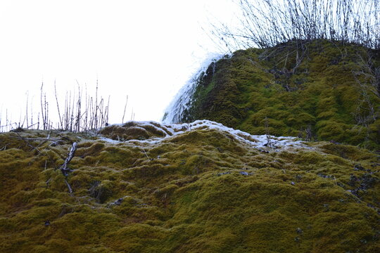 Nohn Bilder – Durchsuchen 503 Archivfotos, Vektorgrafiken und Videos ...