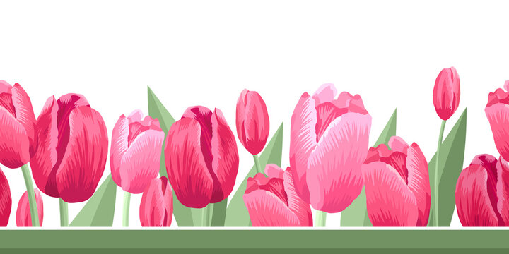 Tulips Flower Border Design