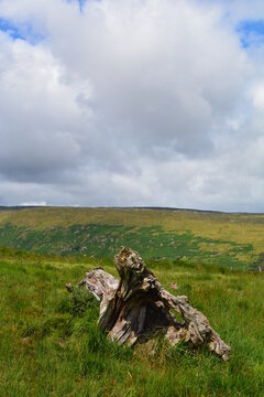 Toormakeady Images – Browse 60 Stock Photos, Vectors, and Video | Adobe ...