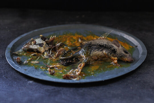 รูปภาพEntrap – เลือกดูภาพถ่ายสต็อก เวกเตอร์ และวิดีโอ34,016 | Adobe Stock