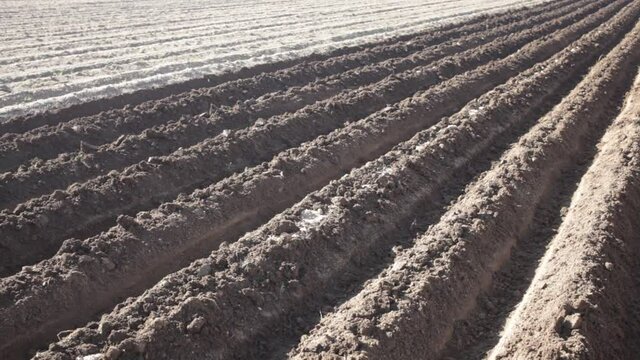 Furrows Images – Browse 930,386 Stock Photos, Vectors, and Video ...